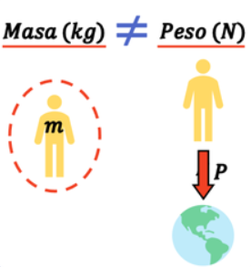 Peso y masa: diferencias, fórmulas y ejercicios prácticos