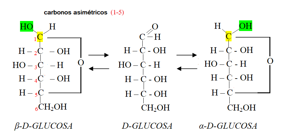 Glucosa: estructura química, formas α y β, propiedades y más